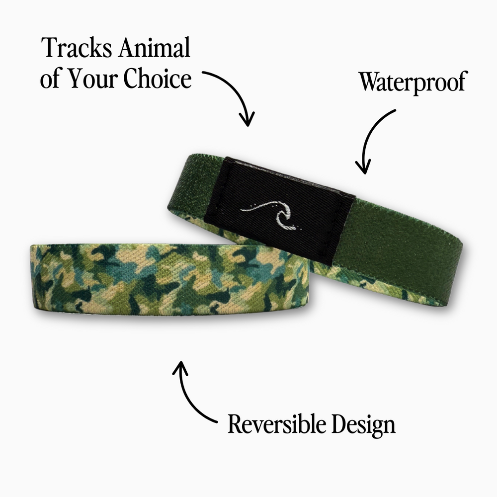 Ocean Animal Tracking Bracelet